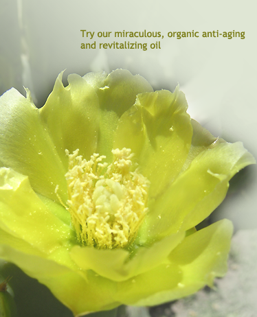 Cactus Bio Skin ® - Prickly pear seed oil